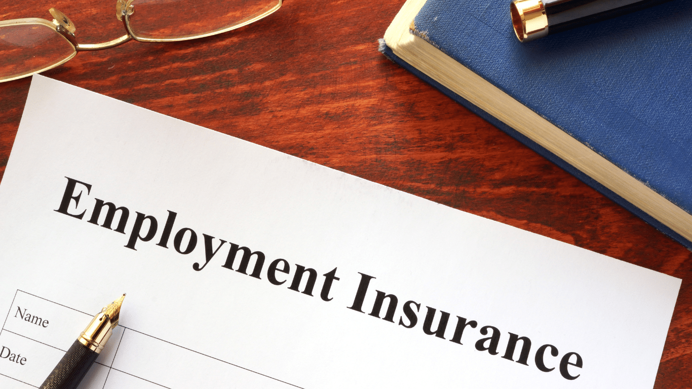 Employment insurance and adoption - Belonging Network